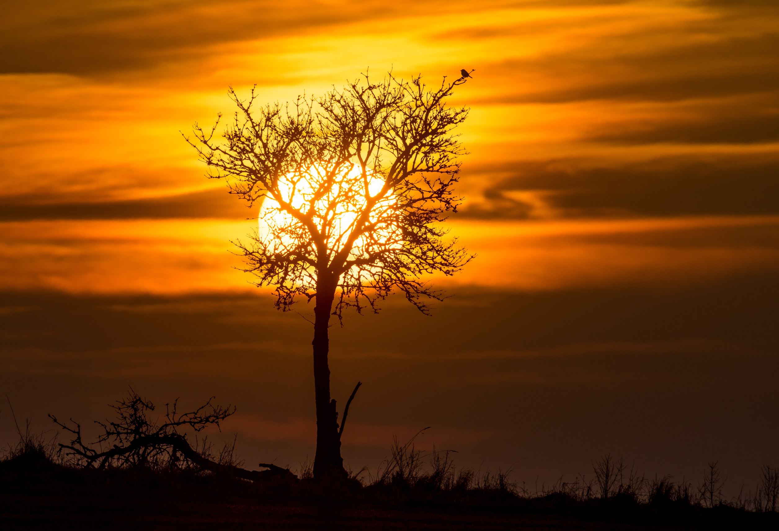 Best pictures of the week: February 26, 2015